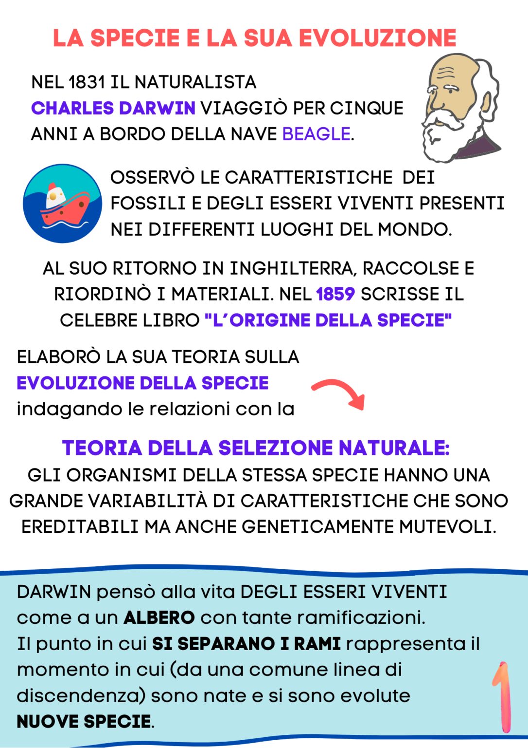 Charles Darwin, evoluzione, adattamento e … animali fantastici ...